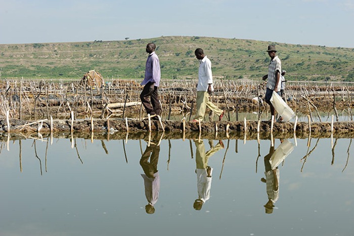 The Salt Miners of Lake Katwe in Uganda | Amusing Planet